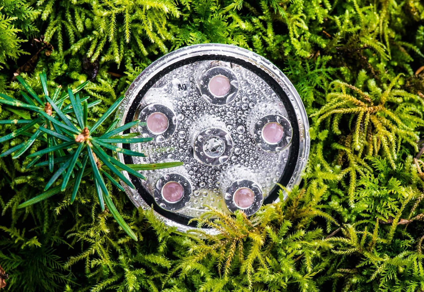 Vortex Showerhead: Venus Rose | Broze Edition coated with silver